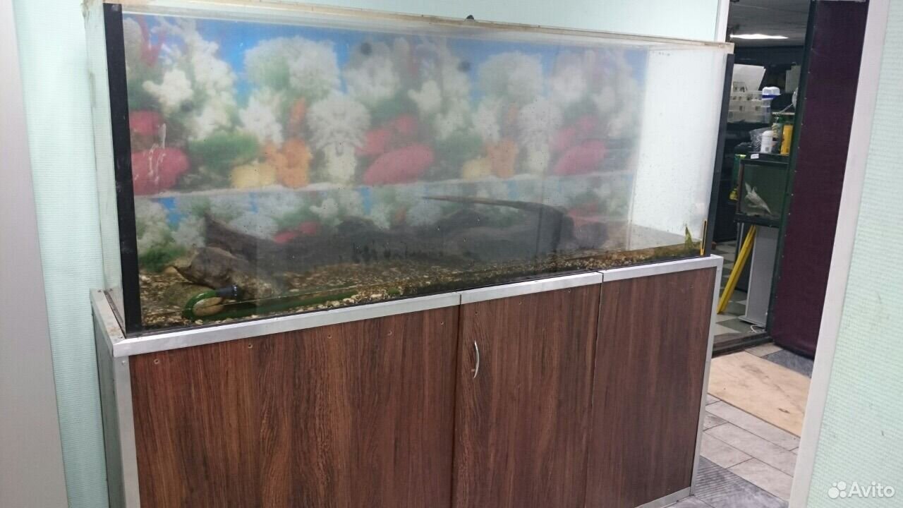Аквариум Б/У 700л. с тумбой