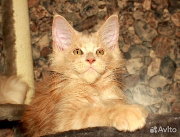 Большой Сэм