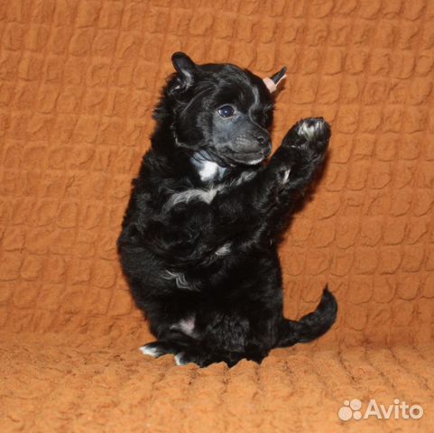 Пуховый мальчик