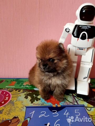 Мальчик в набивной шубке