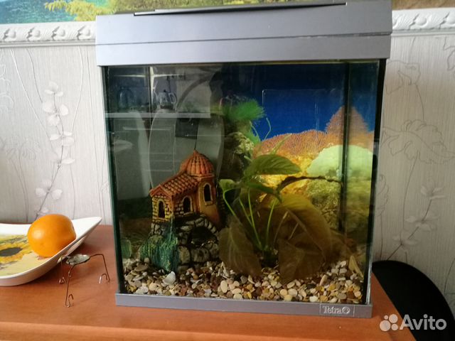 Продам аквариум