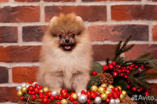 Гарантированно маленького размера девочка