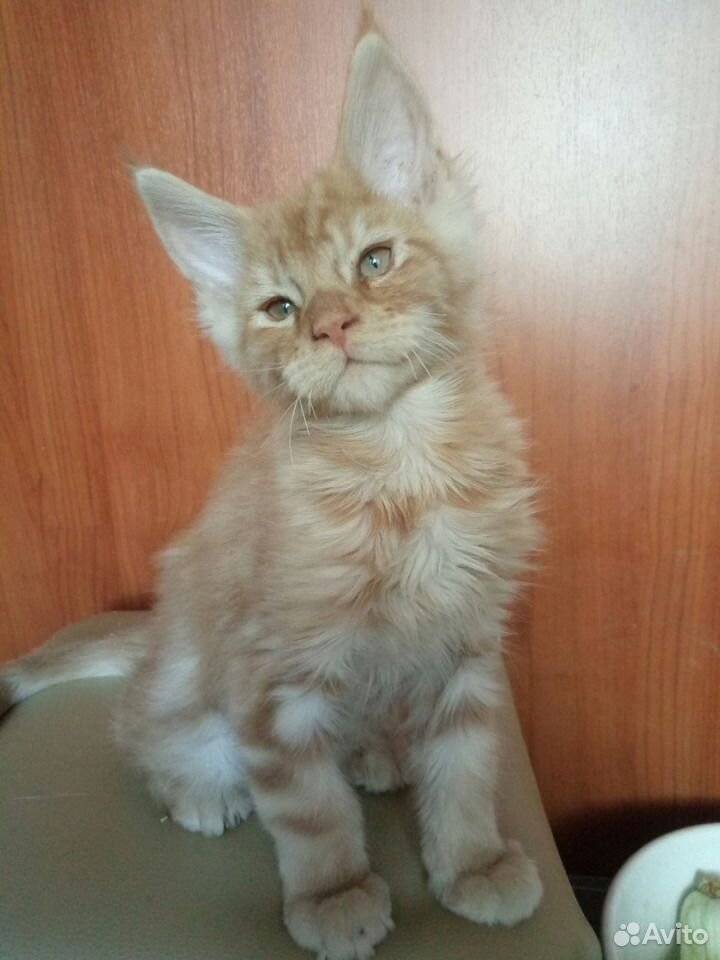 Красное солнышко