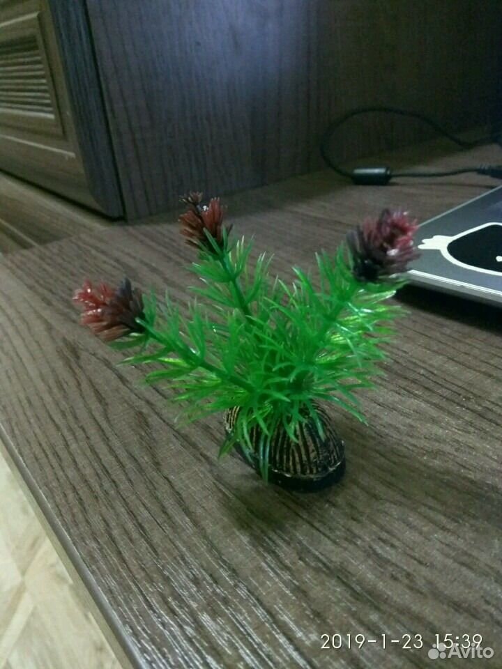 Искусственное растение