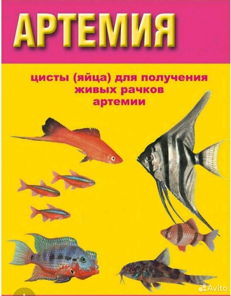 Артемия цисты, икра, яйца