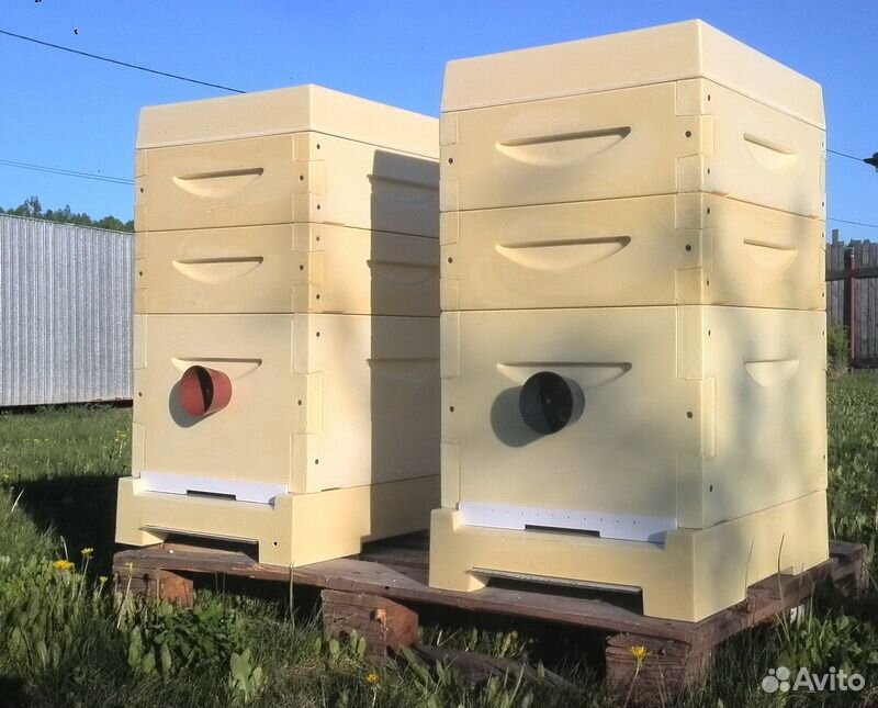 Ульи с пчёлами Карника Карпатка (племенные)