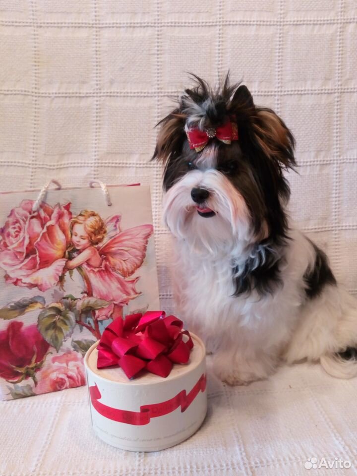 Красивый,подрощенный мальчик