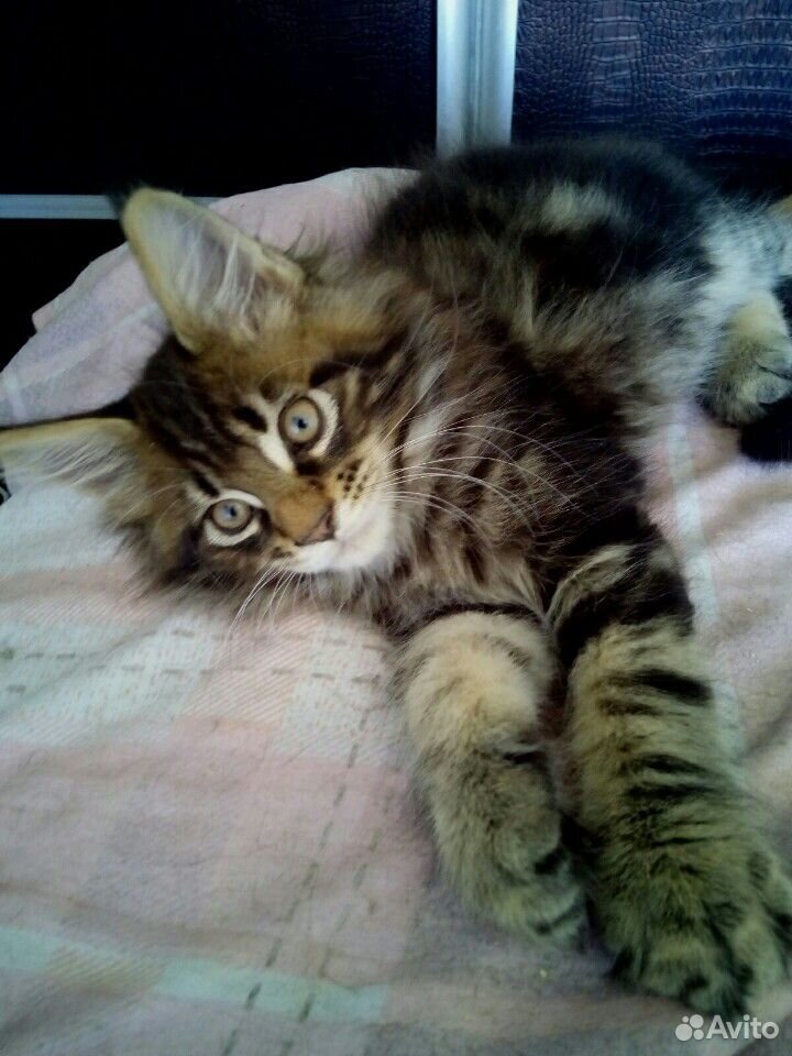 Малыш Боня ищет дом и любящую семью