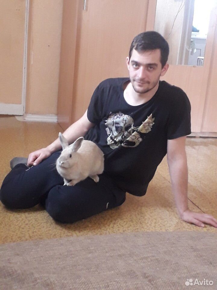 Отдадим кролика