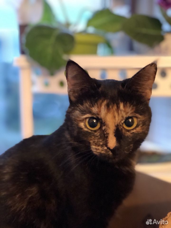 Мама Папа Вы где Крошка Ксюша Вас ждёт. Малышке 8