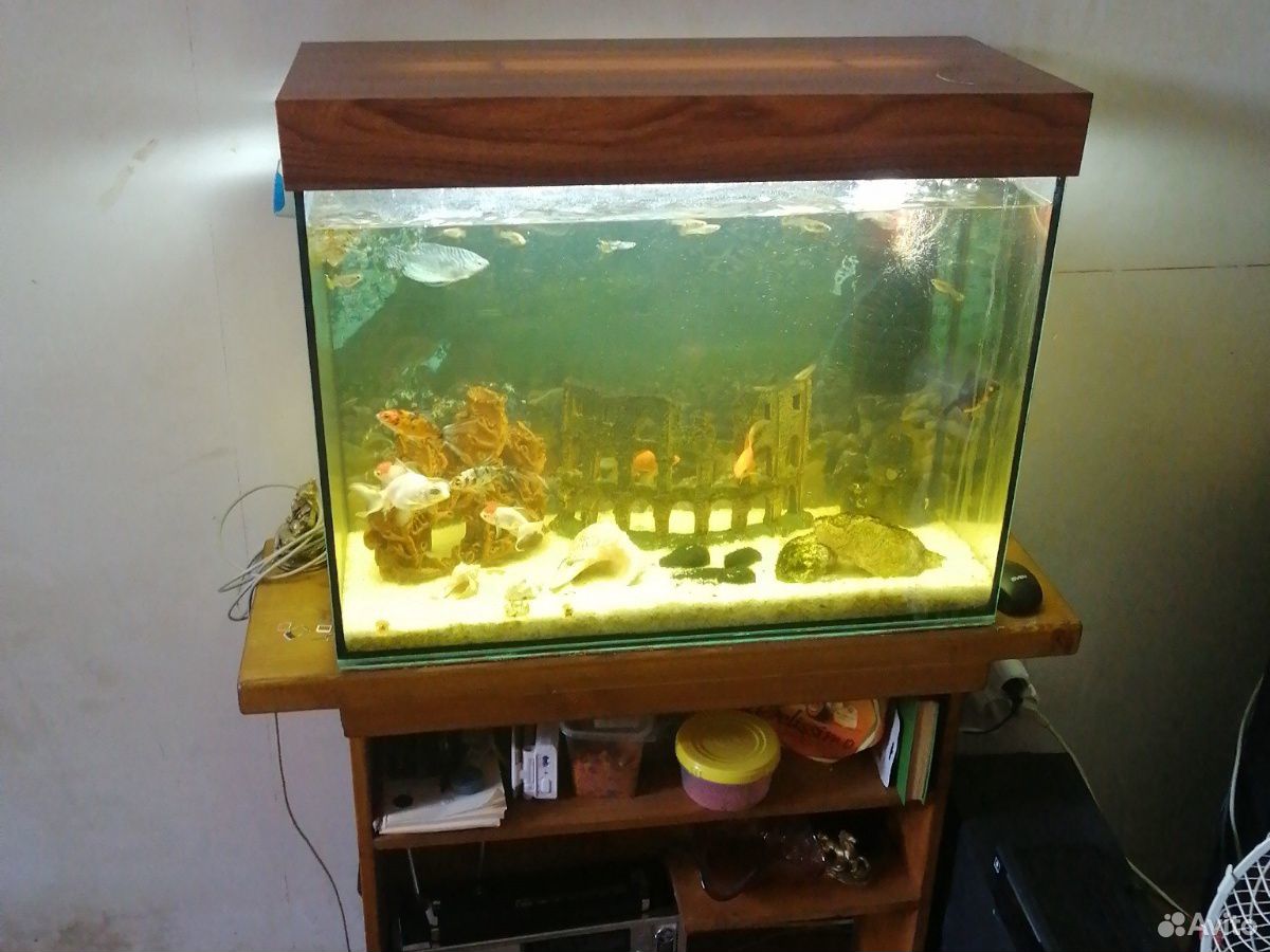 Продам аквариум 107 литров с тумбой, рыбками