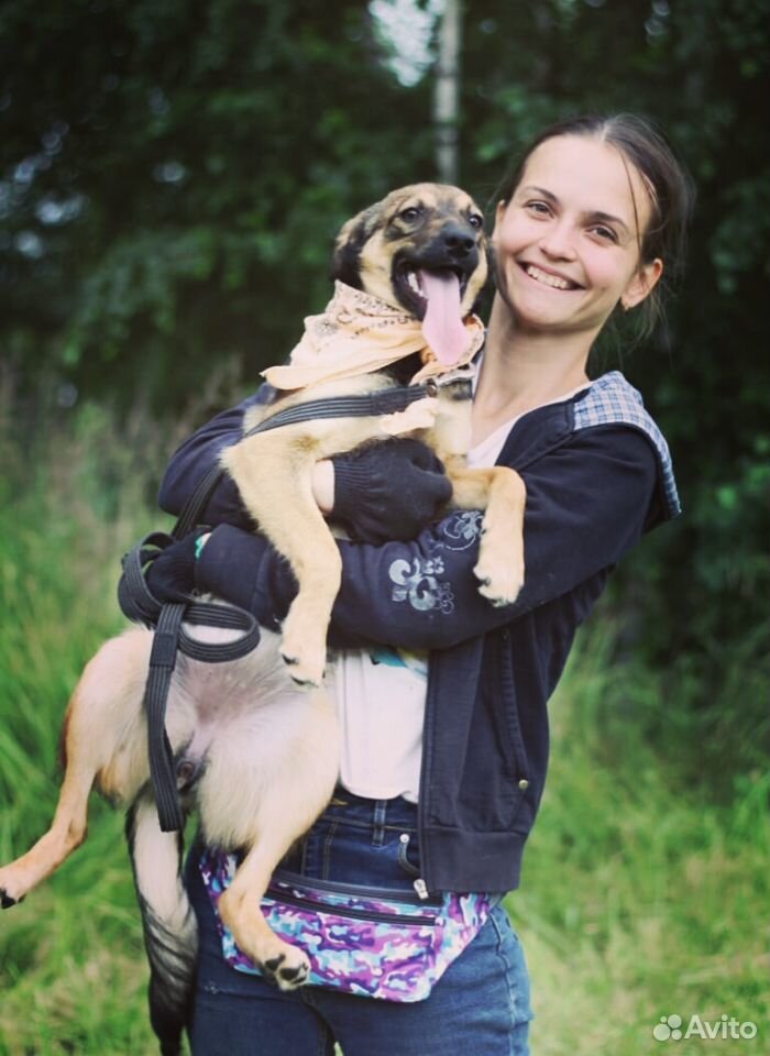 Щенок Кнопочка 6,5 месяцев в добрые руки