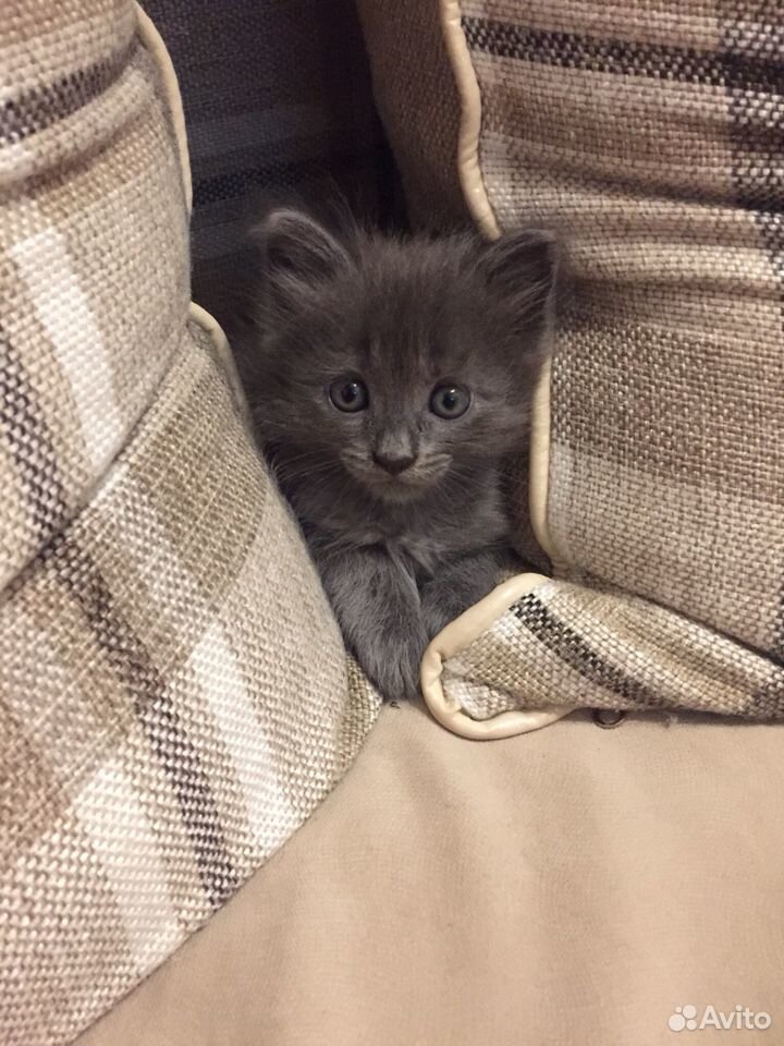 Жанна Аркадьевна