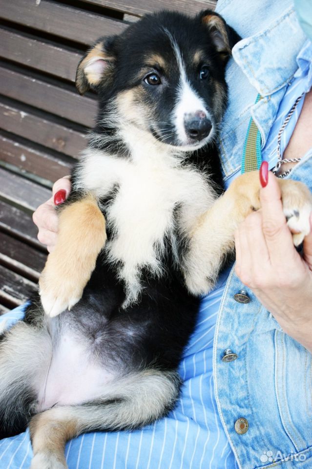 Луна 3 мес ищет семью