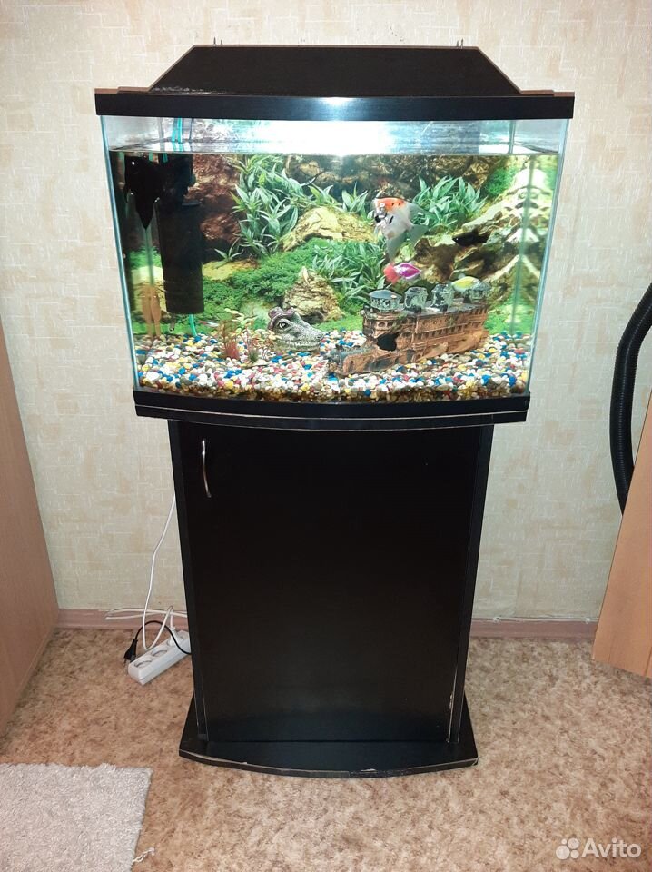 Аквариум