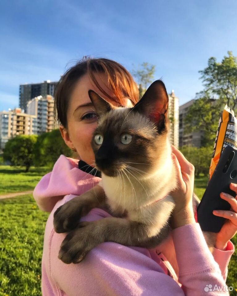 Вязка с котом