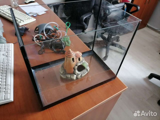 Аквариум