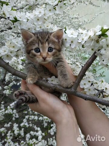 Малыши-карандаши ждут вас