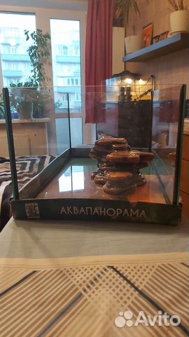 Аквариум