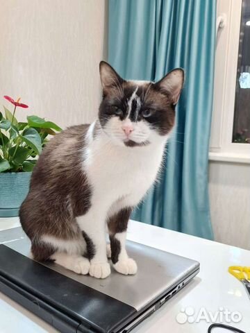 Бланка 2 года