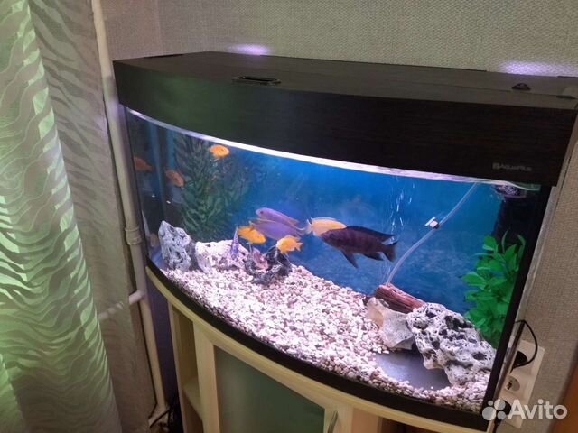 Аквариум 115 литров панорамный акваплюс