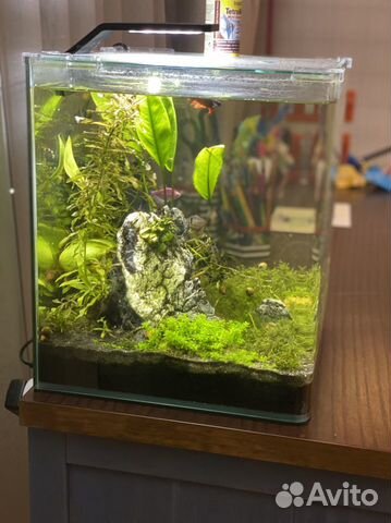 Аквариум 30 литров, dennerle cube conplete