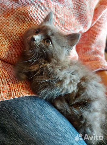 Сибирский Нибелунг