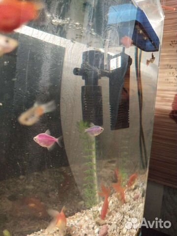 Фильтр для аквариума