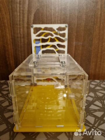 Муравейник