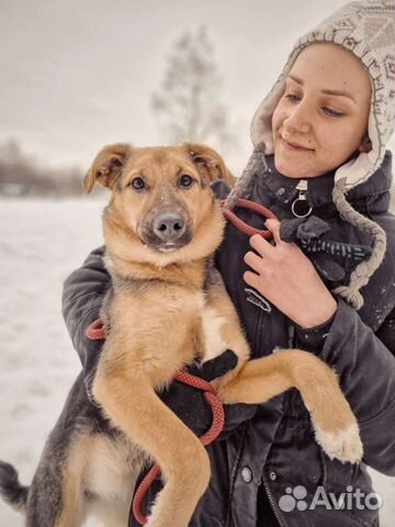 Спасите щенка из приюта