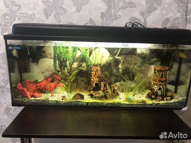 Аквариум