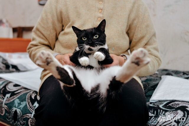 Лея
