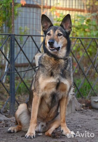 Шикарный парень ищет любящую семью