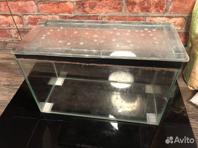 Террариум/аквариум