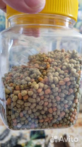 Корм для аквариумных рыбок