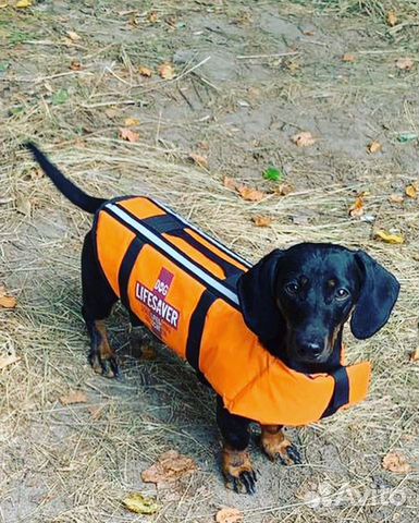 Такса вязка