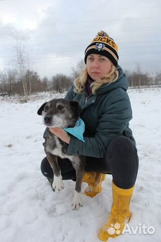 Не дайте умереть в клетке