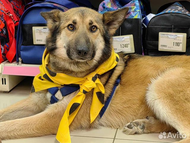 Малышка Линда