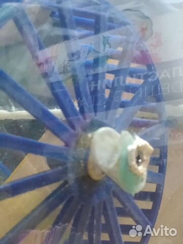 Террариум,аквариум