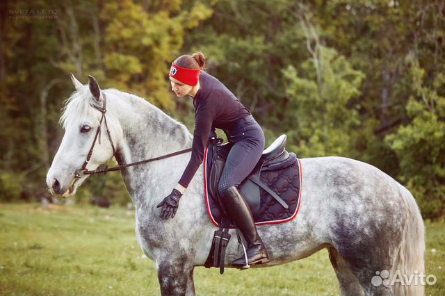 Кобыла в детский спорт