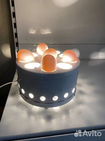 Овоскоп настольный он-10