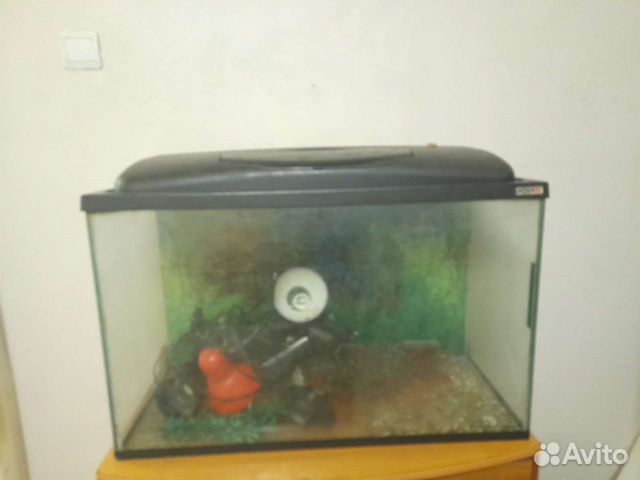 Аквариум