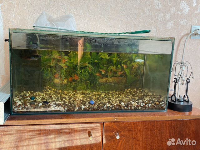 Аквариум 64 литра