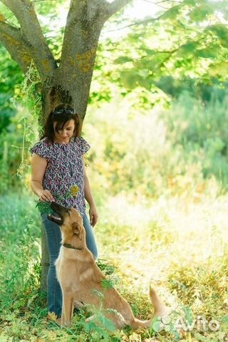 Лучик ищет дом