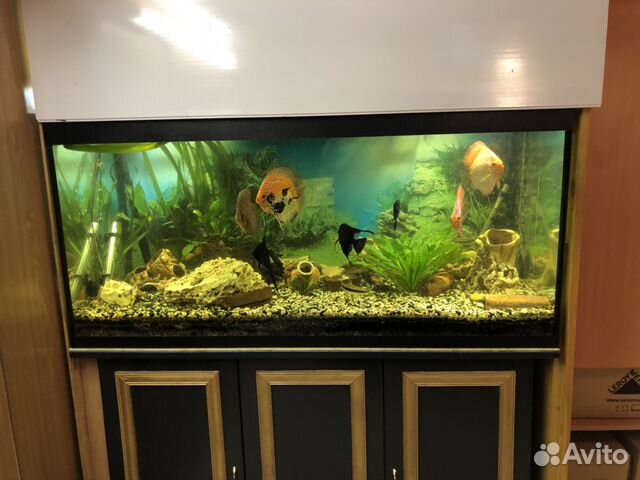 Аквариум, 500 литров, полный комплект