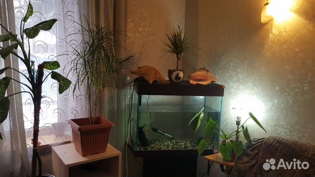 Аквариум 110л+ тумбочка