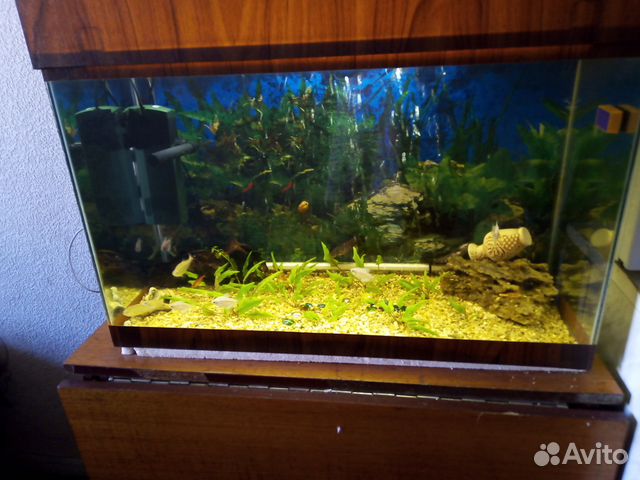 Аквариум