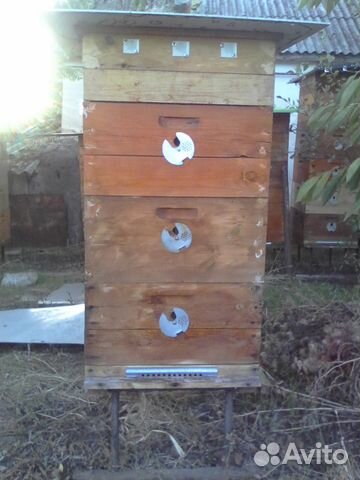 Пчелосемьи