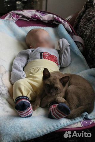 Бурмята для семей с детьми