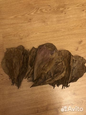 Листья миндаля